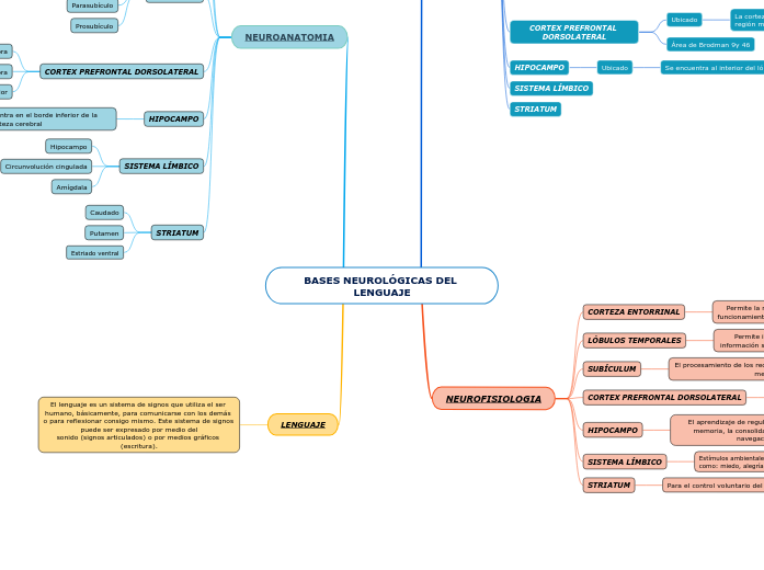 BASES NEUROLÓGICAS DEL LENGUAJE - Mind Map
